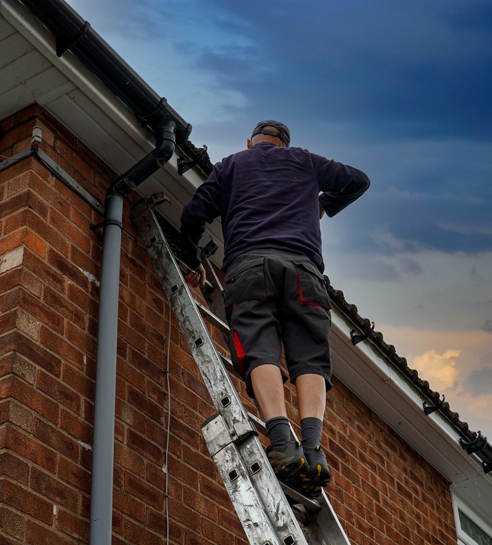 Ace Gutter | Everything Gutters